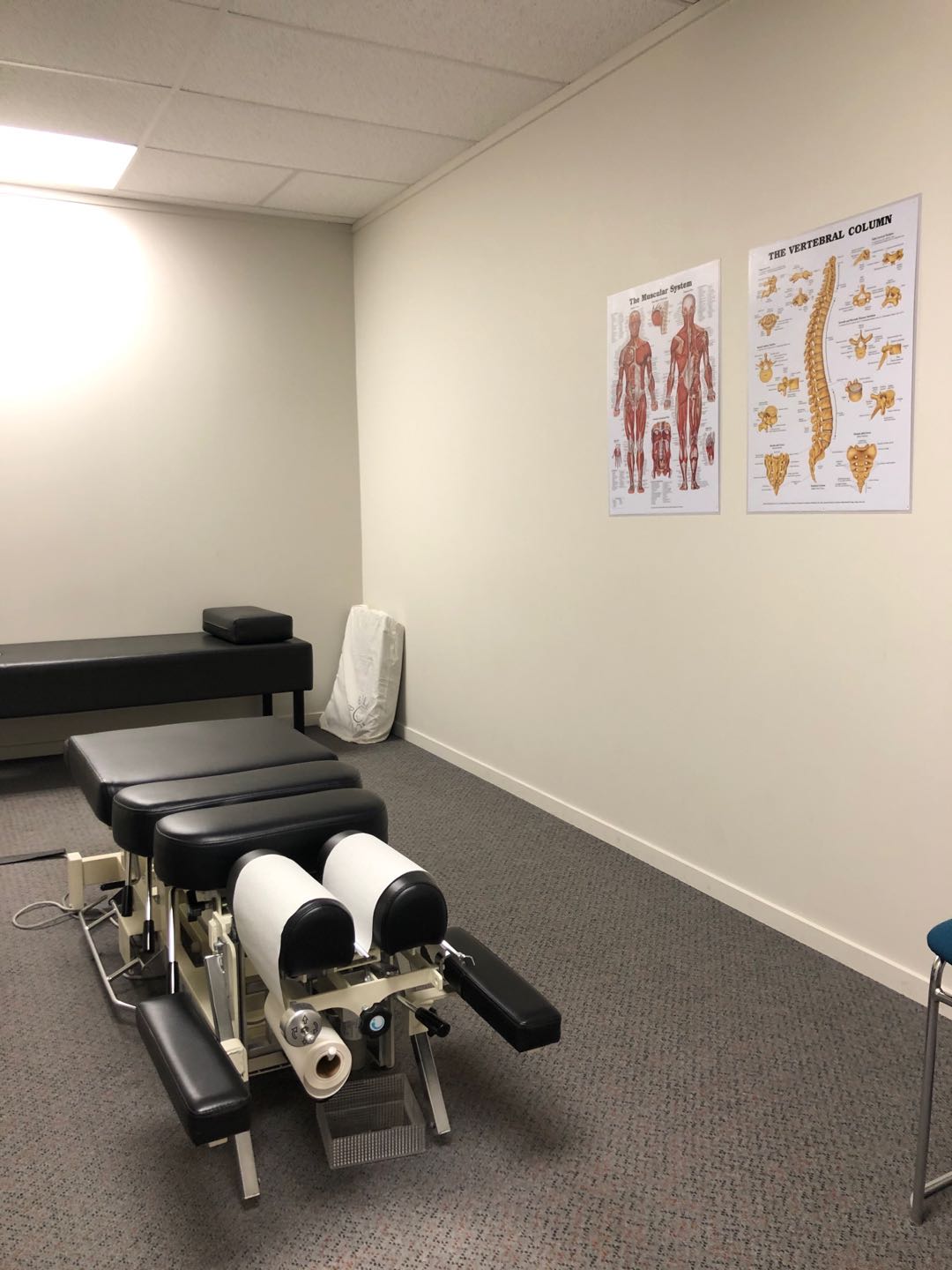 NZ Acupuncture | Physiotherapy | Superior Health Ltd
